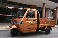 China Reversible Lifan 200cc Engine Motocarro Delivery Van with Closed Cabin Cargo Tricycle for sale
