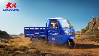 China Motorized Gasoline Cargo Tricycle for Adults 1 Passenger High Curb Weight ≥500kg for sale