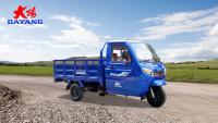 China Motorized Gasoline Cargo Tricycle for Adults 1 Passenger High Curb Weight ≥500kg for sale
