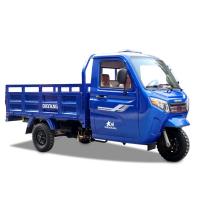 China Motorized Gasoline Cargo Tricycle for Adults 1 Passenger High Curb Weight ≥500kg for sale