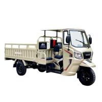 China Front Drum Rear Drum Brake System 250cc Petrol Cargo Tricycle for Elderly and Family for sale