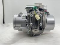 China 110CC 4 Stroke DAYANG Tricycle Motorcycle Engine with Dual Clutch and Electric/Kick Start for sale
