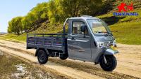 China 250cc Diesel Motorized Tricycles The Perfect Combination of Power and Efficiency for sale