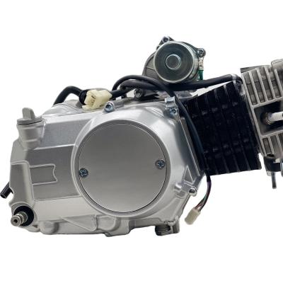 China Silver 135cc Motorcycle Engine Single Cylinder 4 Stroke Air Cool Engine Assembly for DAYANG Tricycles for sale
