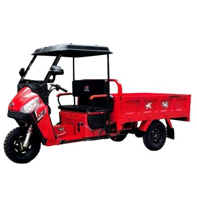 China Powerful Engine Cool Airtogo Cargo Tricycle 110cc 150cc for 1 Passenger Standard Size for sale