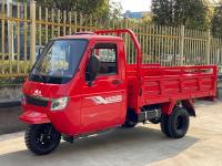China Design DAYANG 2022 Closed Body Type 1000W Trike Tuk Tuk Lifan Motorcycletuk Tricycle for sale