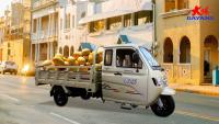 China 1000W Rear Spring Leafs Motorized Tricycles for Heavy-Duty Cargo Transportation for sale