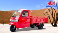 China 1 Passenger Tricycle with Single Cyclinder 4 Stroke Engine and 1000kg Loading Capacity for sale