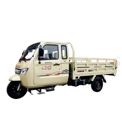 China DAYANG Heavy Loading Motorized Tricycle Cargo Tricycle Motorcycle with Enclosed Cabin for sale
