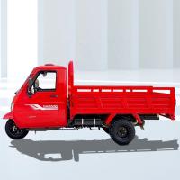 China 10-20L Fuel Tank Capacity 125cc Tricycle with Gasoline Transmission and 5.0-12 Tire Size for sale