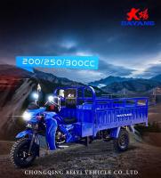 China 250cc Three Wheel Cargo Motorcycle with Open Body Type and Payload Capacity of ≥400kg for sale