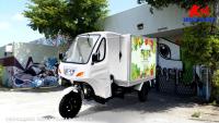 China Three Wheel Refrigerator Cargo Tricycle with Iron Cabin and Hydraulic Rear Brake for sale