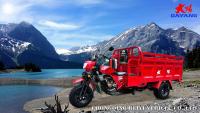 China Motorized Cargo Tricycle with Luxury Carriage and Maximum Speed ≥70Km/h Tyre 5.0-12 for sale