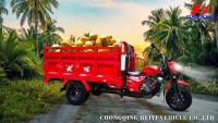 China Motorized Cargo Tricycle with Luxury Carriage and Maximum Speed ≥70Km/h Tyre 5.0-12 for sale