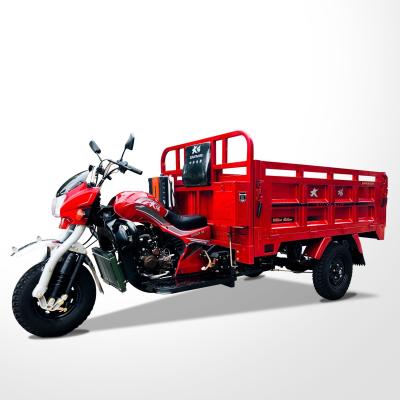 China 250cc Automatic 3 Wheel Motorcycle Chassis 50*100 Luxury Carriage Motorized Cargo Tricycle for sale