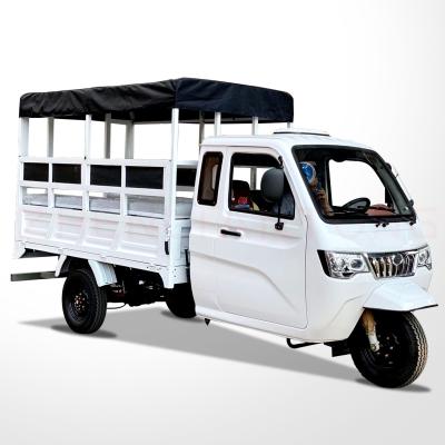 China Closed Body Type 2-Seats Passenger Tricycle with Big Cargo Box and 6 3 Leaf Spring for sale