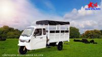 China Closed Body Type 2-Seats Passenger Tricycle with Big Cargo Box and 6 3 Leaf Spring for sale