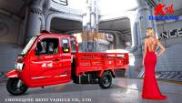 China Dayang Luxury Series T7 Closed Cab Cargo Tricycle with 800CC Engine and 5.0-12 Tyres for sale