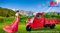 China DAYANG BEIYI T5 Heavy Loading Tricycle Enclosed Cabin 50*100 Chassis 2m*1.4m Cargo Box for sale