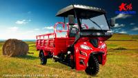 China 3 Wheel Electric Cargo Bike 150c Cargo Trike Body Type Open Three Wheel Cargo Motorcycle for sale