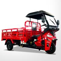 China 3 Wheel Electric Cargo Bike 150c Cargo Trike Body Type Open Three Wheel Cargo Motorcycle for sale