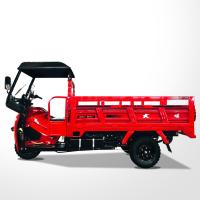 China 3 Wheel Electric Cargo Bike 150c Cargo Trike Body Type Open Three Wheel Cargo Motorcycle for sale