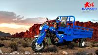 China Comfortable 3 Wheel Cargo Tricycle Motorized Fuel Motorcycle with 50*100 Chassis for sale