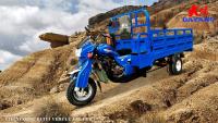 China Comfortable 3 Wheel Cargo Tricycle Motorized Fuel Motorcycle with 50*100 Chassis for sale