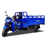 China Open Body Type Motorized Cargo Tricycle Motorcycle with Front Disc Rear Drum Brake for sale