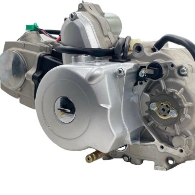 China Global 106.7ml Displacement DAYANG Motorcycle Tricycle Engine with Max Cylinder Style for sale