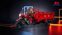 China 250CC Closed Box Three Wheel Cargo Motorcycle 1200kg Loading Capacity 5.0-12 Tire Size for sale