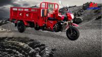 China 250CC Closed Box Three Wheel Cargo Motorcycle 1200kg Loading Capacity 5.0-12 Tire Size for sale