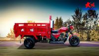 China 200cc Water Cooling Three Wheel Tricycles Open Body 3 Wheel Cargo Motorcycle for Your for sale
