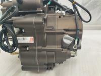 China Fit ATV UTV Tricycle Motorcycle Engine Assembly for DAYANG LF 300cc Water Cooled for sale