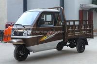 China 250cc Three Wheel Closed Cabin Heavy Load Motorcycle with Unladen Kerb Weight 600kg for sale