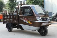 China 250cc Three Wheel Closed Cabin Heavy Load Motorcycle with Unladen Kerb Weight 600kg for sale