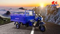 China 200CC Cargo Tricycle Gasoline Auto Loader Three Wheel Motorcycle with Chassis 50*100 for sale
