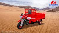 China 200CC Cargo Tricycle Gasoline Auto Loader Three Wheel Motorcycle with Chassis 50*100 for sale