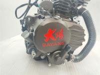China 250CC DAYANG Motorcycle Engine Single Cylinder 4 Stroke Wolf water-cooled CDI Ignition for sale