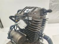 China 250CC DAYANG Motorcycle Engine Single Cylinder 4 Stroke Wolf water-cooled CDI Ignition for sale