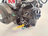 China 250CC DAYANG Motorcycle Engine Single Cylinder 4 Stroke Wolf water-cooled CDI Ignition for sale