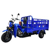 China DAYANG 12V Gasoline Passenger Tricycle Scooter for Heavy Loading Cargo Transportation for sale