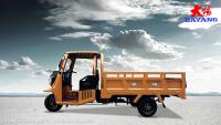 China Adult Cargo Tricycle with CE Motorized 201 250cc Closed 2000mm*1300mm 4.50-12 1200kg 800W CN CHO for sale