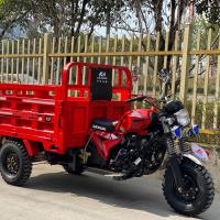China Golden Three Wheel Cargo Motorcycle with ≥400kg Payload Capacity and 200cc Displacement for sale