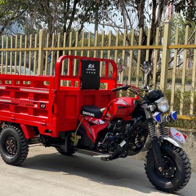 China Golden Three Wheel Cargo Motorcycle with ≥400kg Payload Capacity and 200cc Displacement for sale