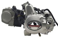 China Silver DAYANG LIFAN 125CC Nature AIR-cooled Motorcycle Engine Assembly 3 Wheel Cargo Tricycle Single Cylinder Style Origin for sale