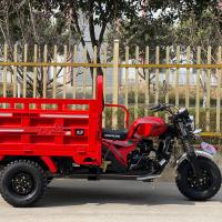 China Golden Three Wheel Cargo Motorcycle with ≥400kg Payload Capacity and 200cc Displacement for sale