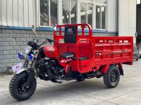 China Golden Three Wheel Cargo Motorcycle with ≥400kg Payload Capacity and 200cc Displacement for sale