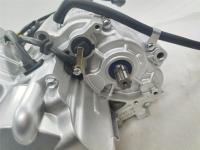 China Silver DAYANG LIFAN 125CC Nature AIR-cooled Motorcycle Engine Assembly 3 Wheel Cargo Tricycle Single Cylinder Style Origin for sale