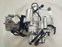 China 4 Stroke DAYANG Complete Motorcycle Nature 110CC Gasoline Engine Ignition Style Origin CCC for sale